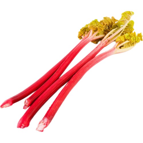 Rhubarb English (500g) – Garden Fresh Exotics