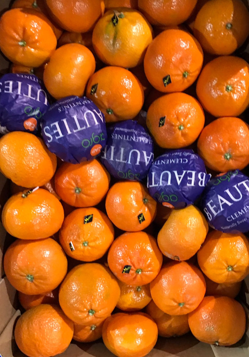 Clementine / Nadorcott (6) – Garden Fresh Exotics